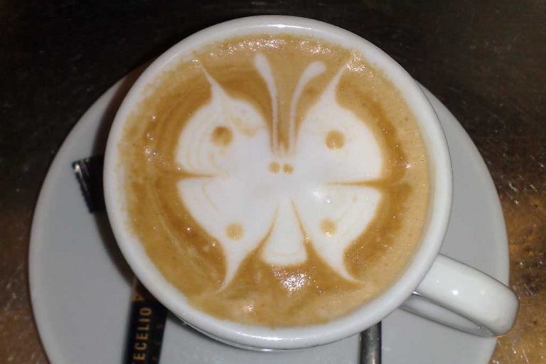 Café mariposa – Xoyma